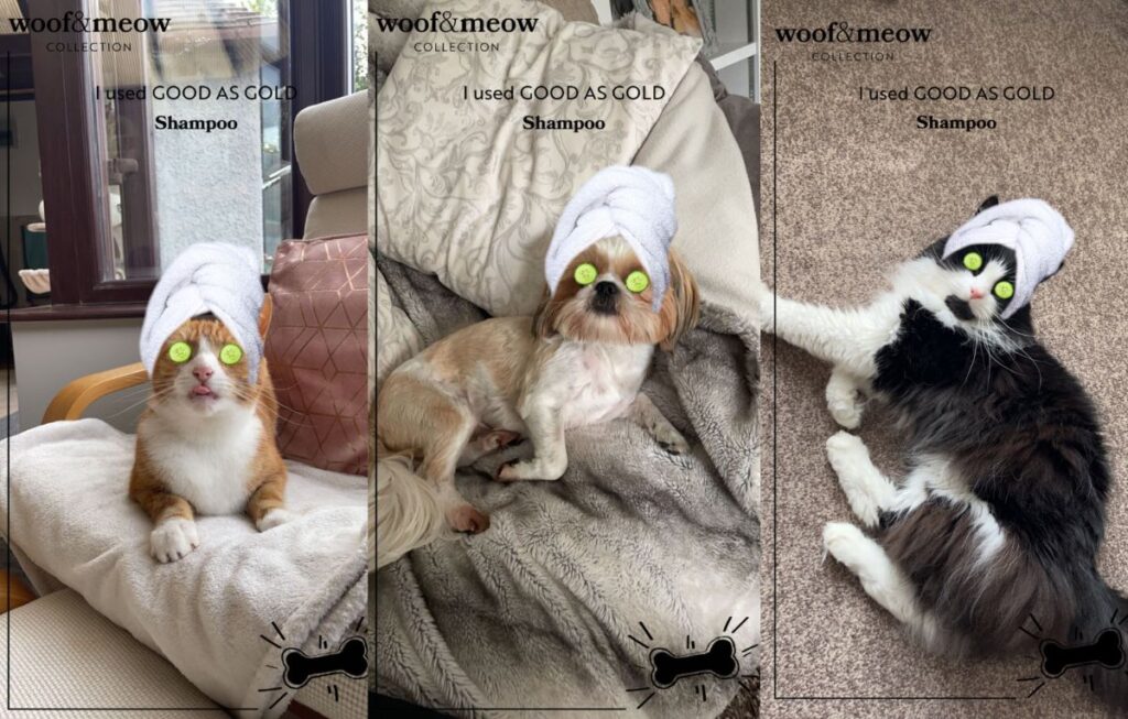 Why You Need to Implement Interactive Packaging for Pet Products ...